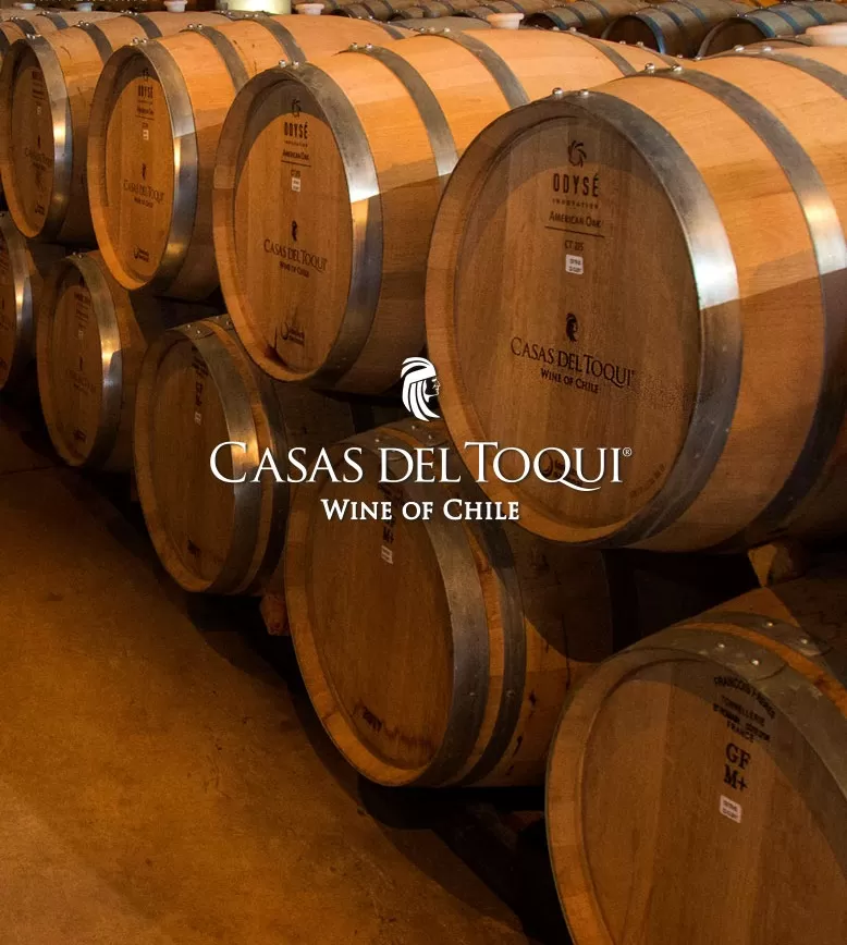 CASAS DEL TOQUI – SỰ KẾT HỢP GIỮA PHONG CÁCH RƯỢU VANG CHILE VÀ PHÁP